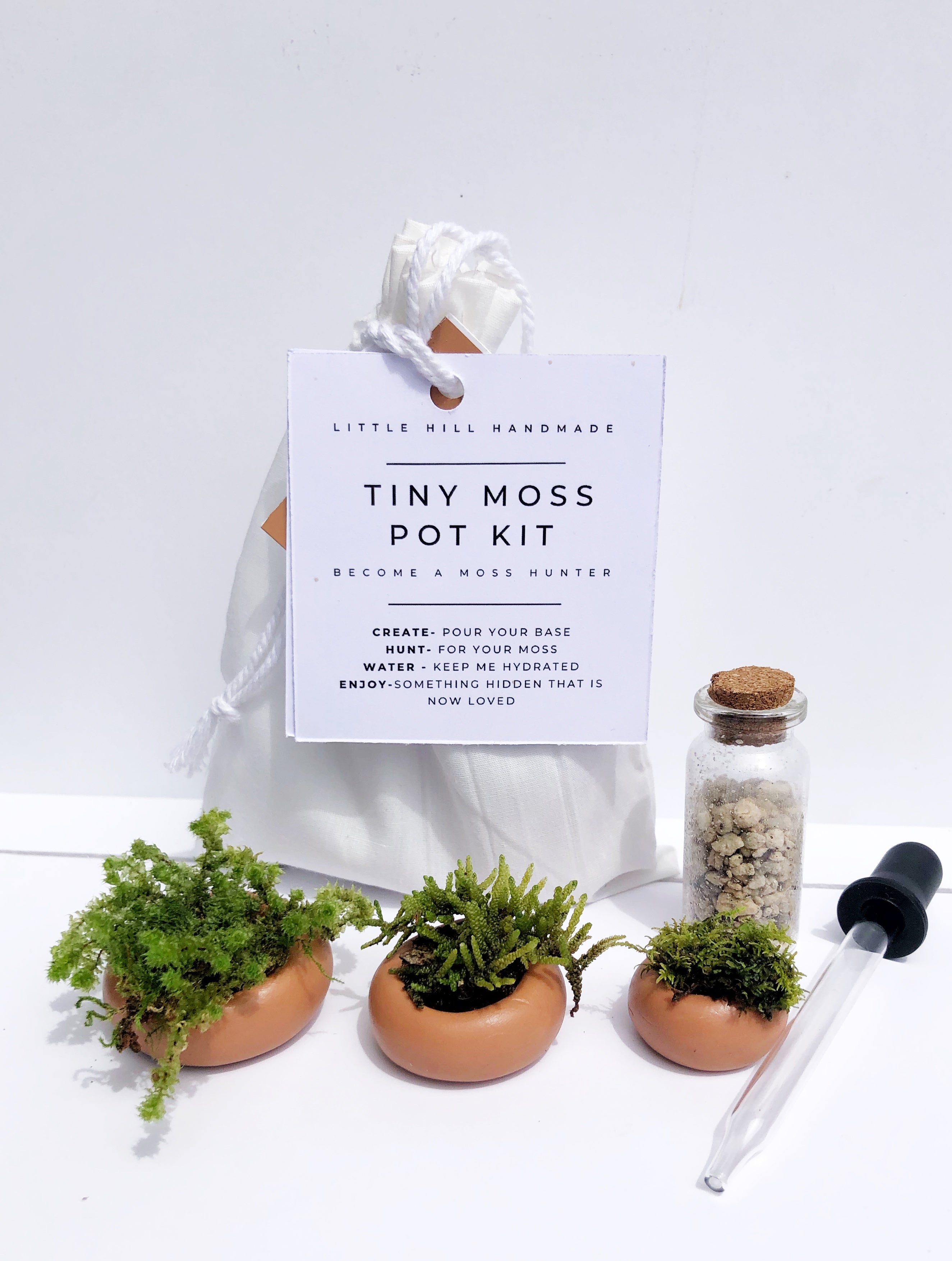 Tiny Moss Pot Kits – LITTLE HILL LAWRENCE